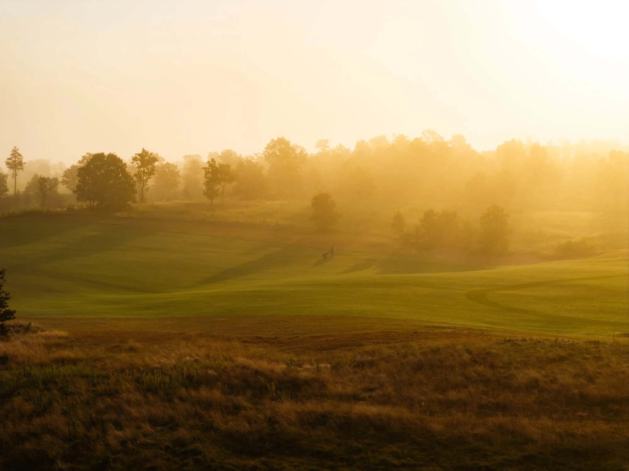 SEDGE VALLEY — Jeff Marsh Golf Photographer