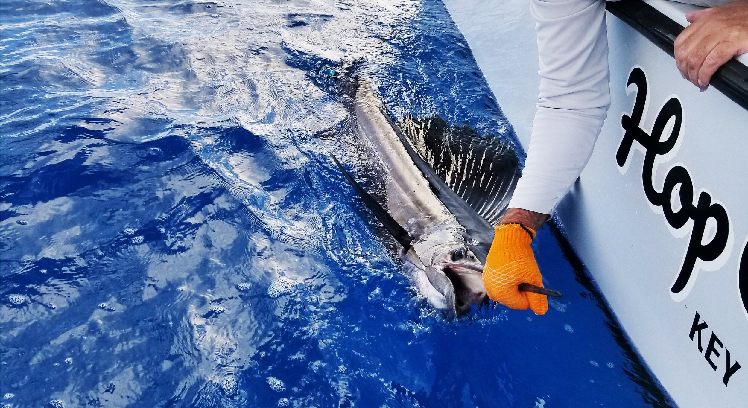 FANTASTIC CHARTERS - Key Largo's Ultimate Fishing Charter Adventure.