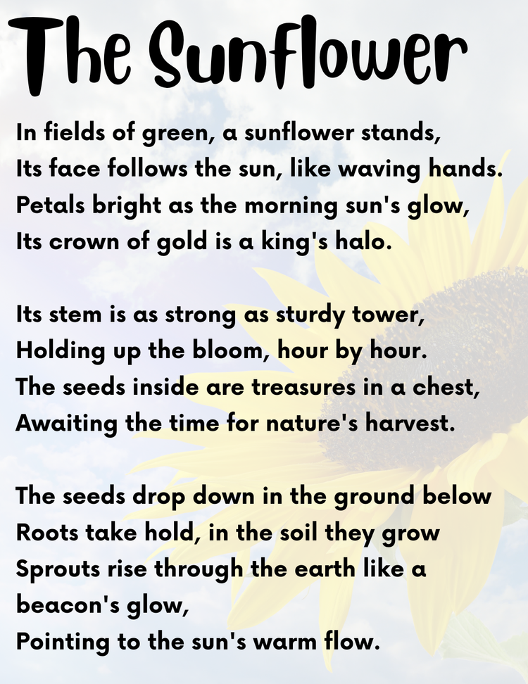 How to Teach Similes and Metaphors Effectively: Your Guide to Lesson ...