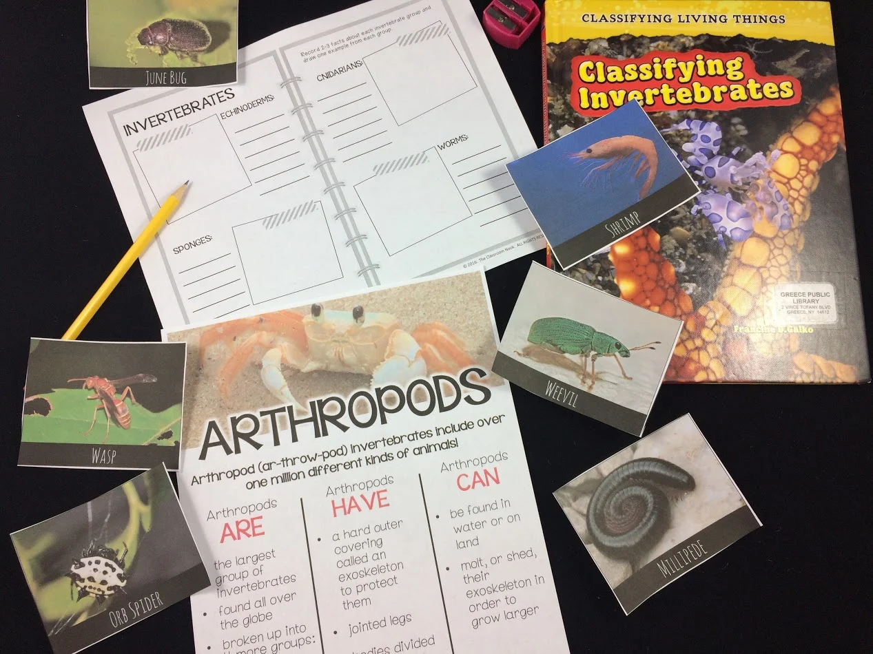 RIP Textbooks - Alternatives to Boring or Outdated Textbooks — THE ...