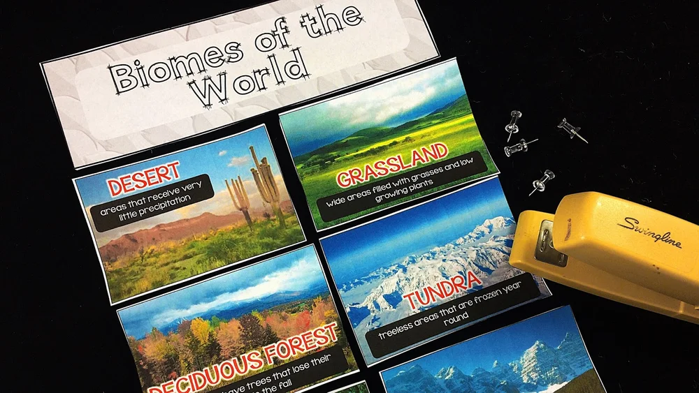 3 Ways to Use Your Bulletin Boards With Your Students — THE CLASSROOM NOOK