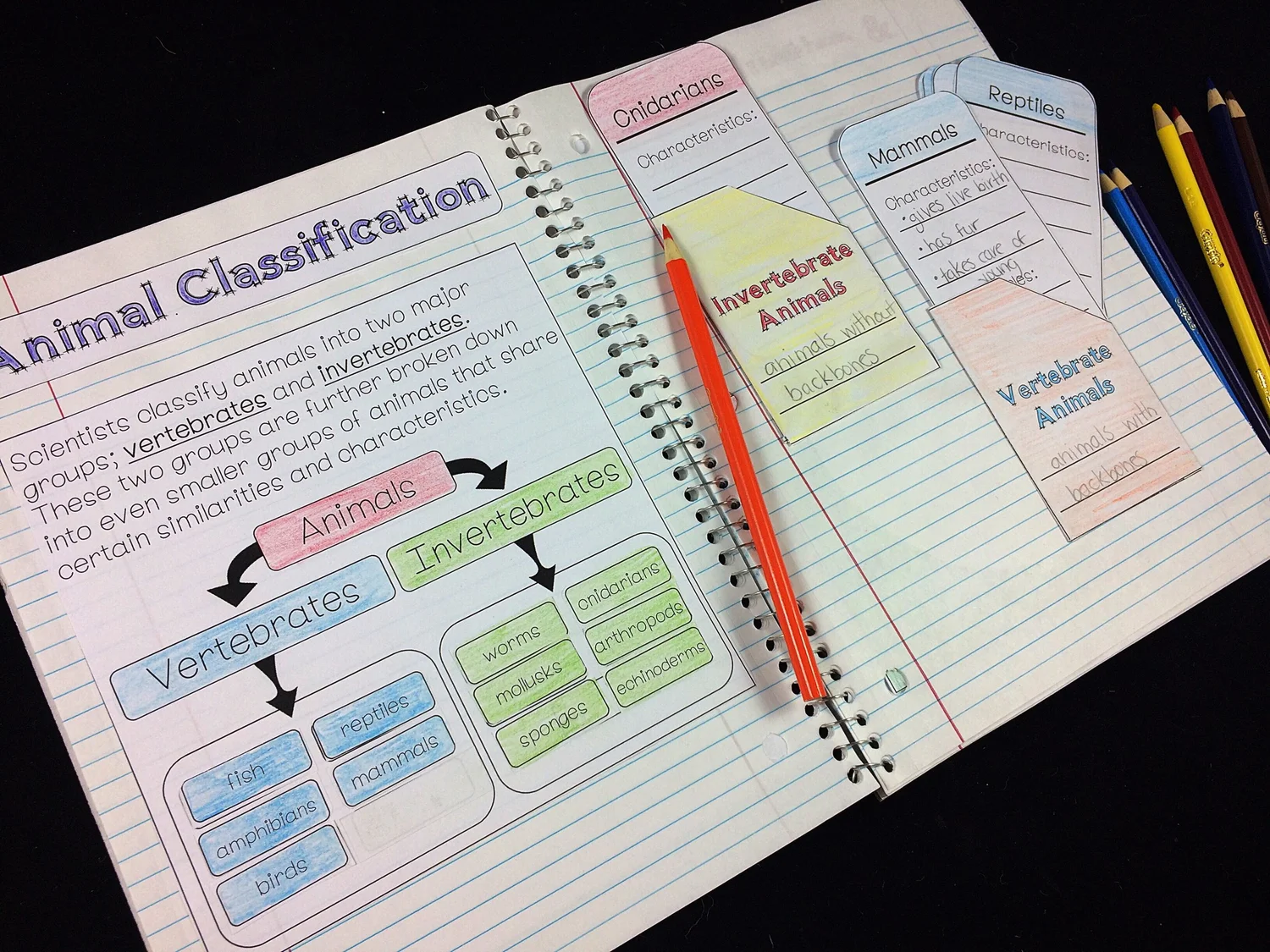 Getting Started With Interactive Notebooks — THE CLASSROOM NOOK