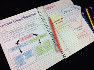 Getting Started With Interactive Notebooks — THE CLASSROOM NOOK