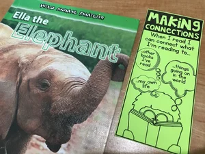 Reading Comprehension Strategy Series: How To Teach Making Connections ...