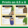 Camping Theme: Classroom Décor Bundle for Back to School — THE ...