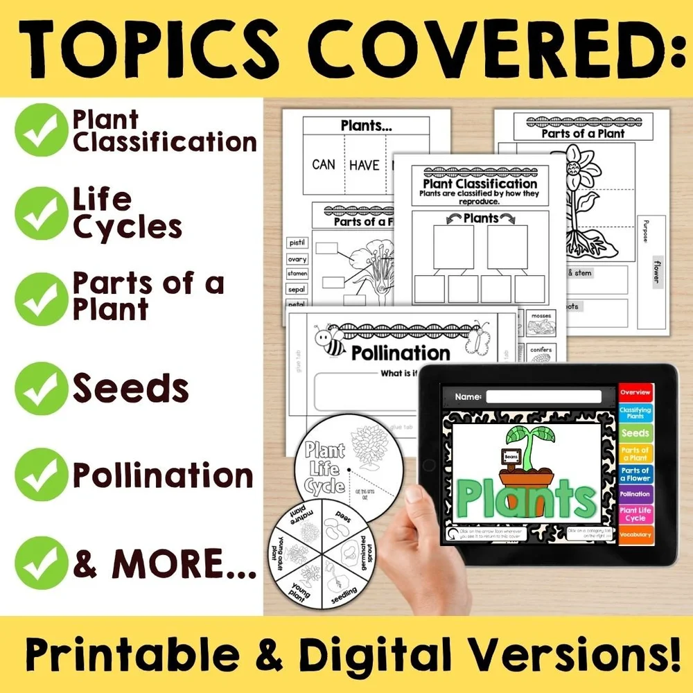 Force & Motion: Laws of Motion, Gravity, Friction, Energy, Simple ...