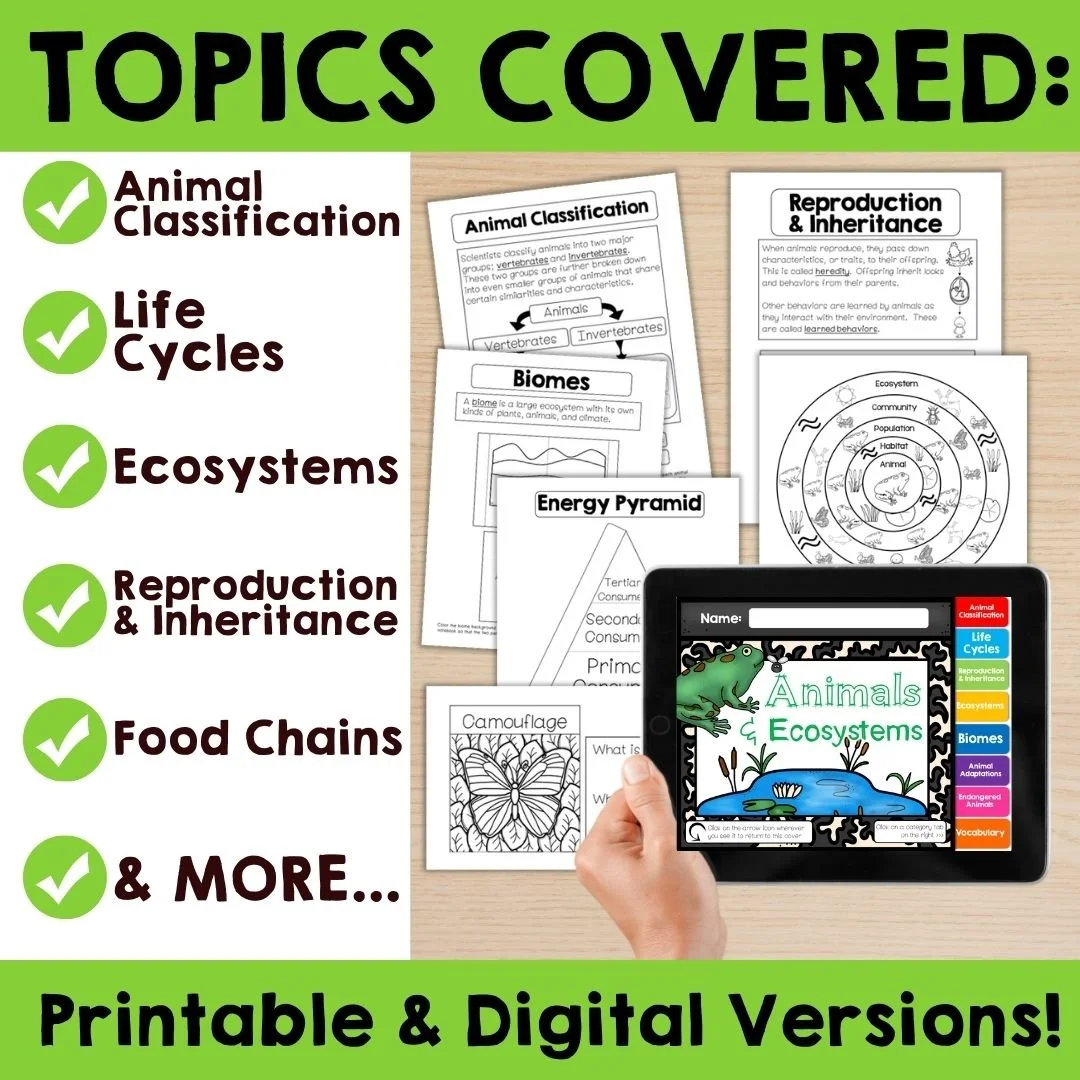 Plants Interactive Notebook - Classification, Life Cycle, Pollination ...