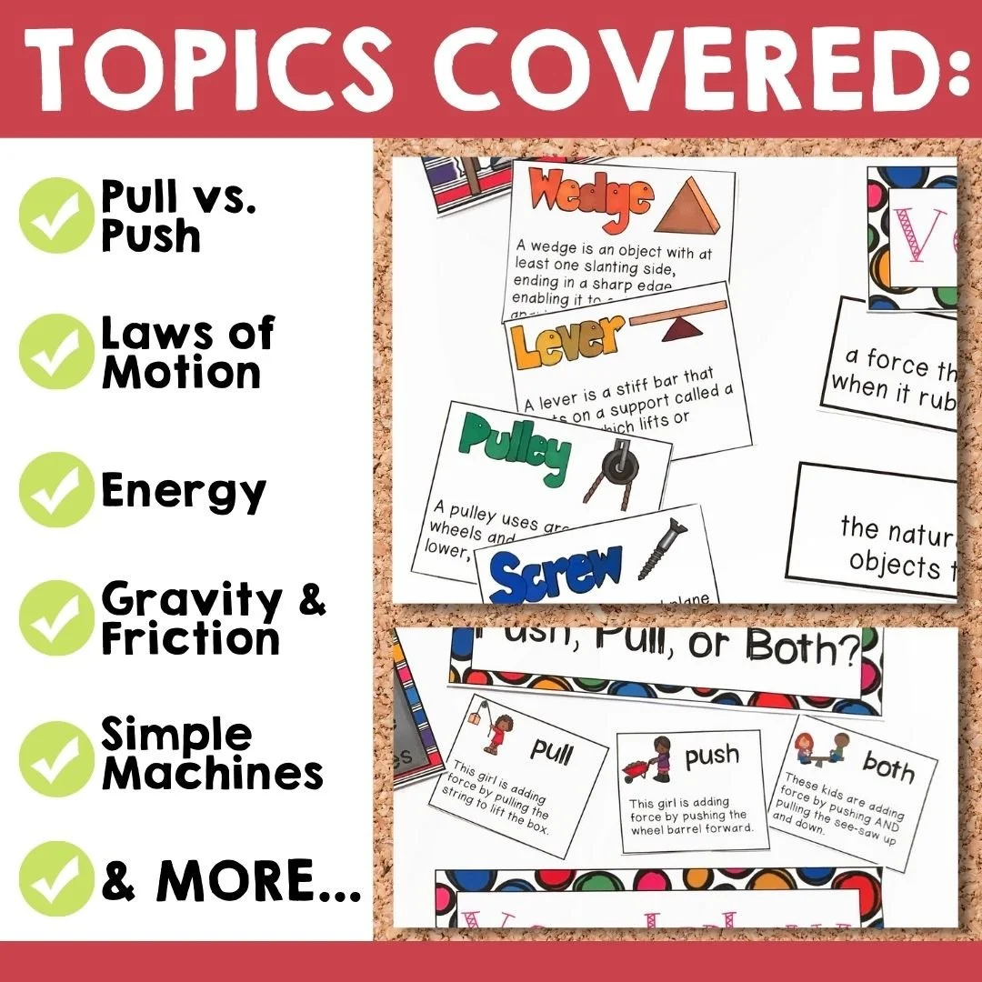 Plants Bulletin Board Set - Life Cycles, Classification, Seeds ...