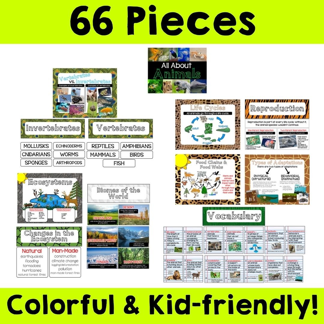 Division Bulletin Board - Division Strategies, Long Division ...