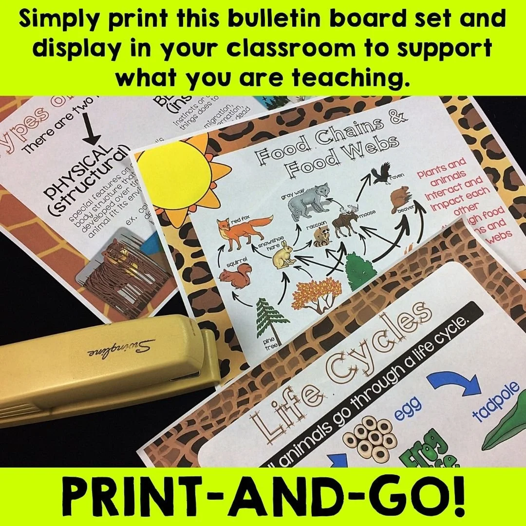 Force & Motion Bulletin Board- Laws of Motion, Energy, Gravity ...