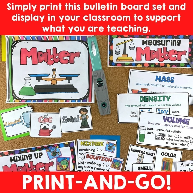 Animals & Ecosystems Bulletin Board: Classification, Life Cycles, Food ...