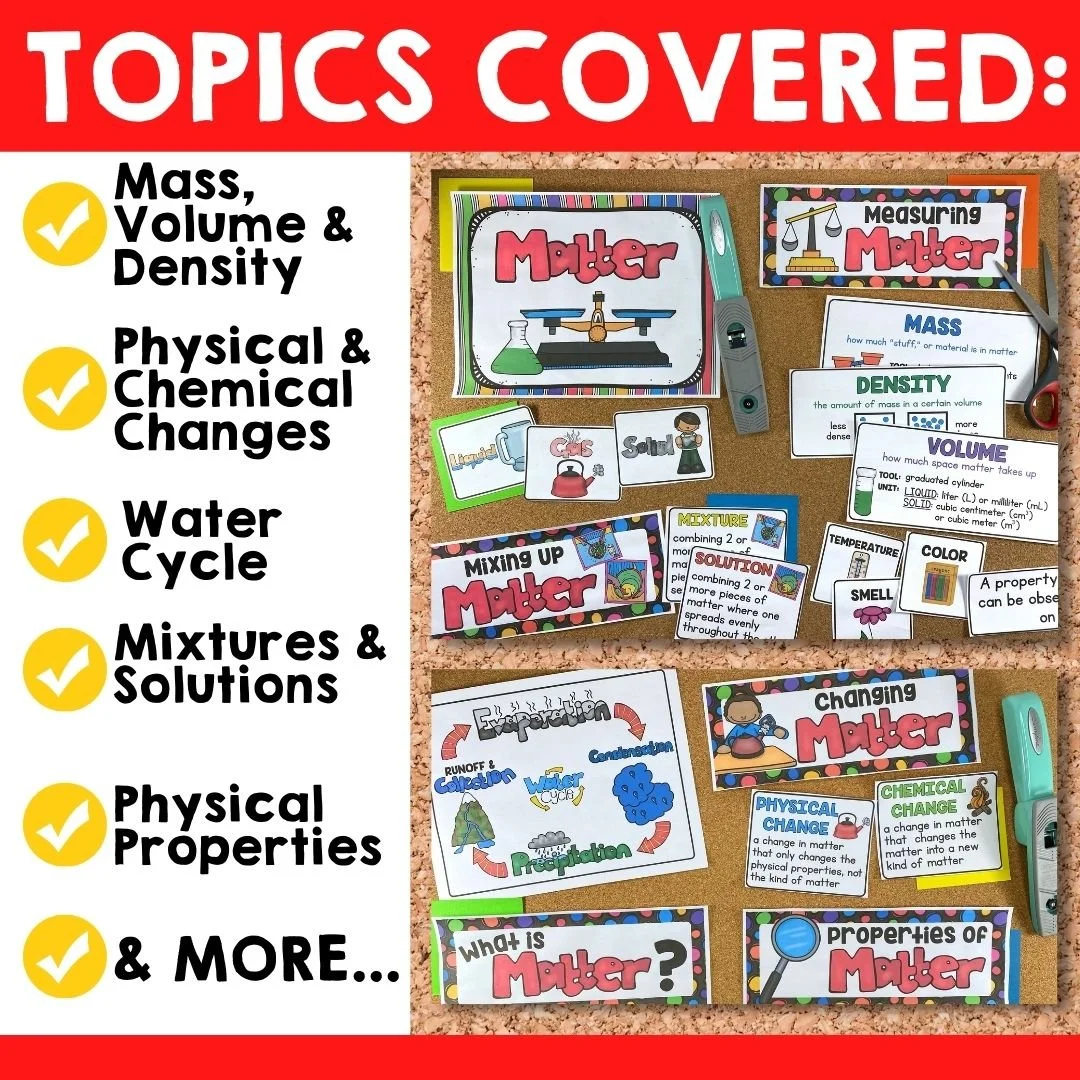 Animals & Ecosystems Bulletin Board: Classification, Life Cycles, Food ...