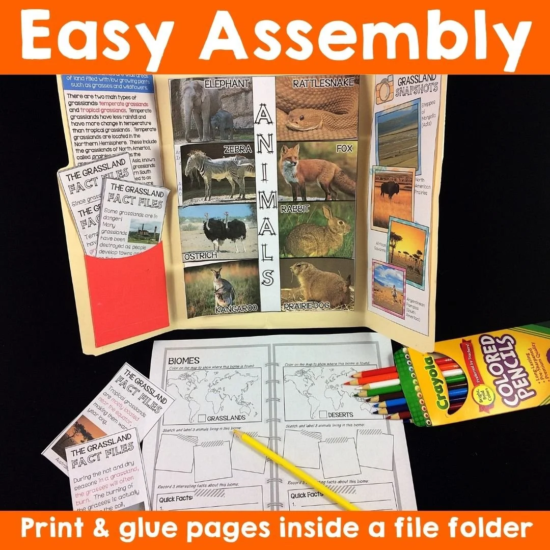 Social Studies File Folder Centers: Political Decisions of the Civil ...