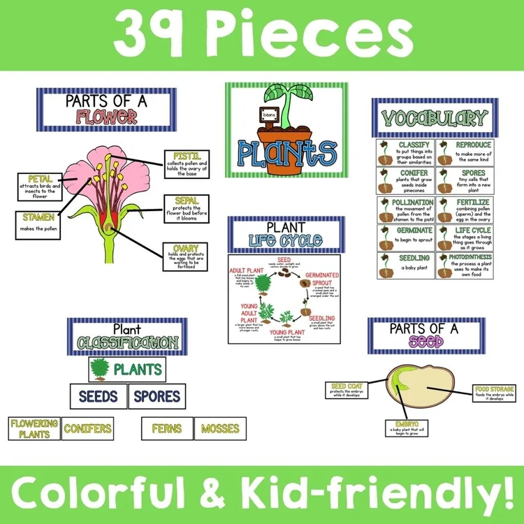 Colonial America Bulletin Board Set - Colonial Life, Colonial Jobs, 13 ...