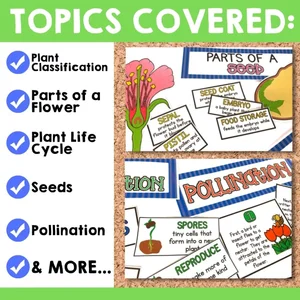Colonial America Bulletin Board Set - Colonial Life, Colonial Jobs, 13 ...