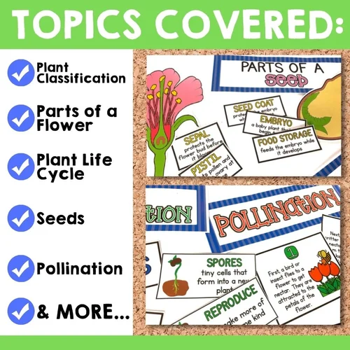 Colonial America Bulletin Board Set - Colonial Life, Colonial Jobs, 13 ...
