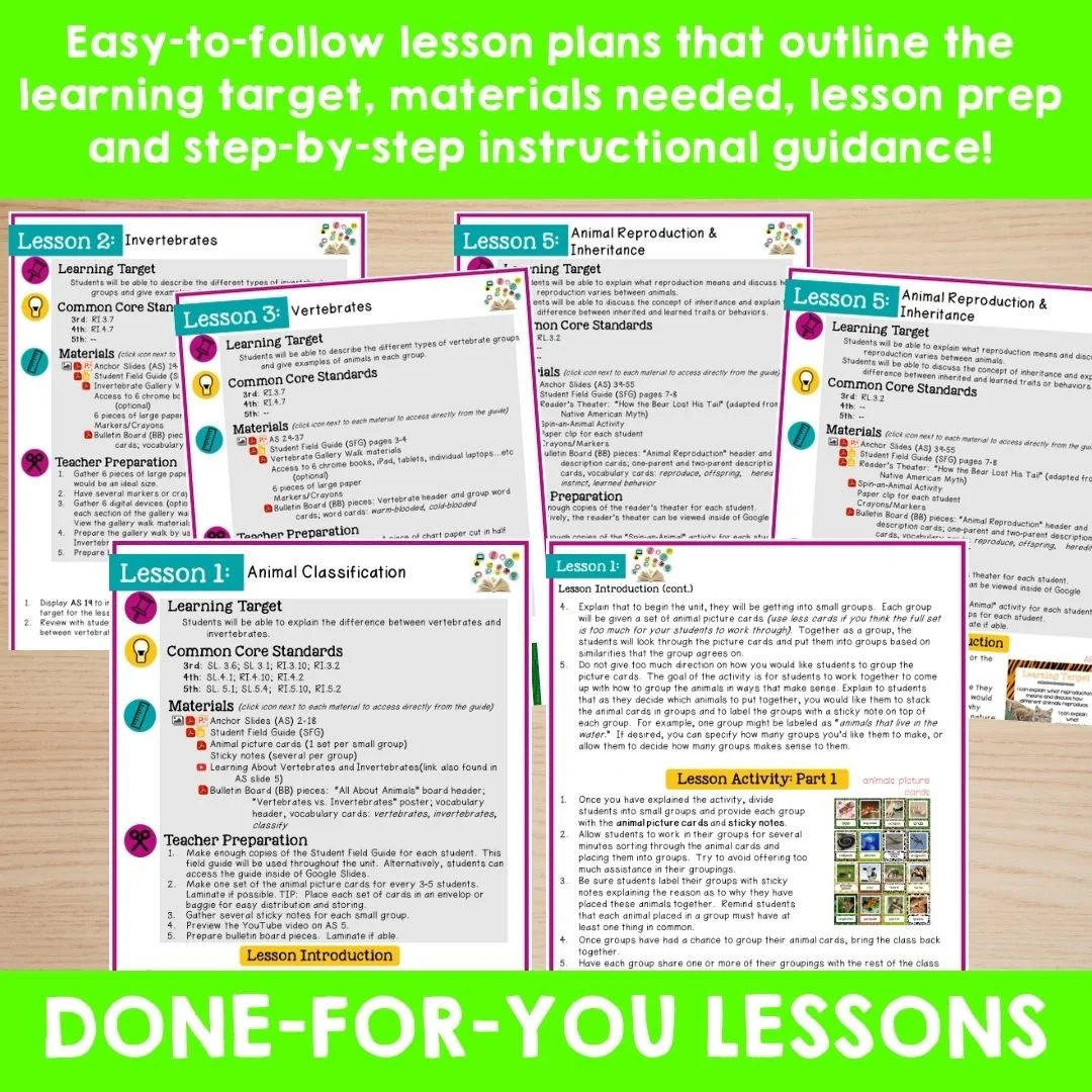 Electricity Bulletin Board (+ worksheets): Circuits, Conductors ...