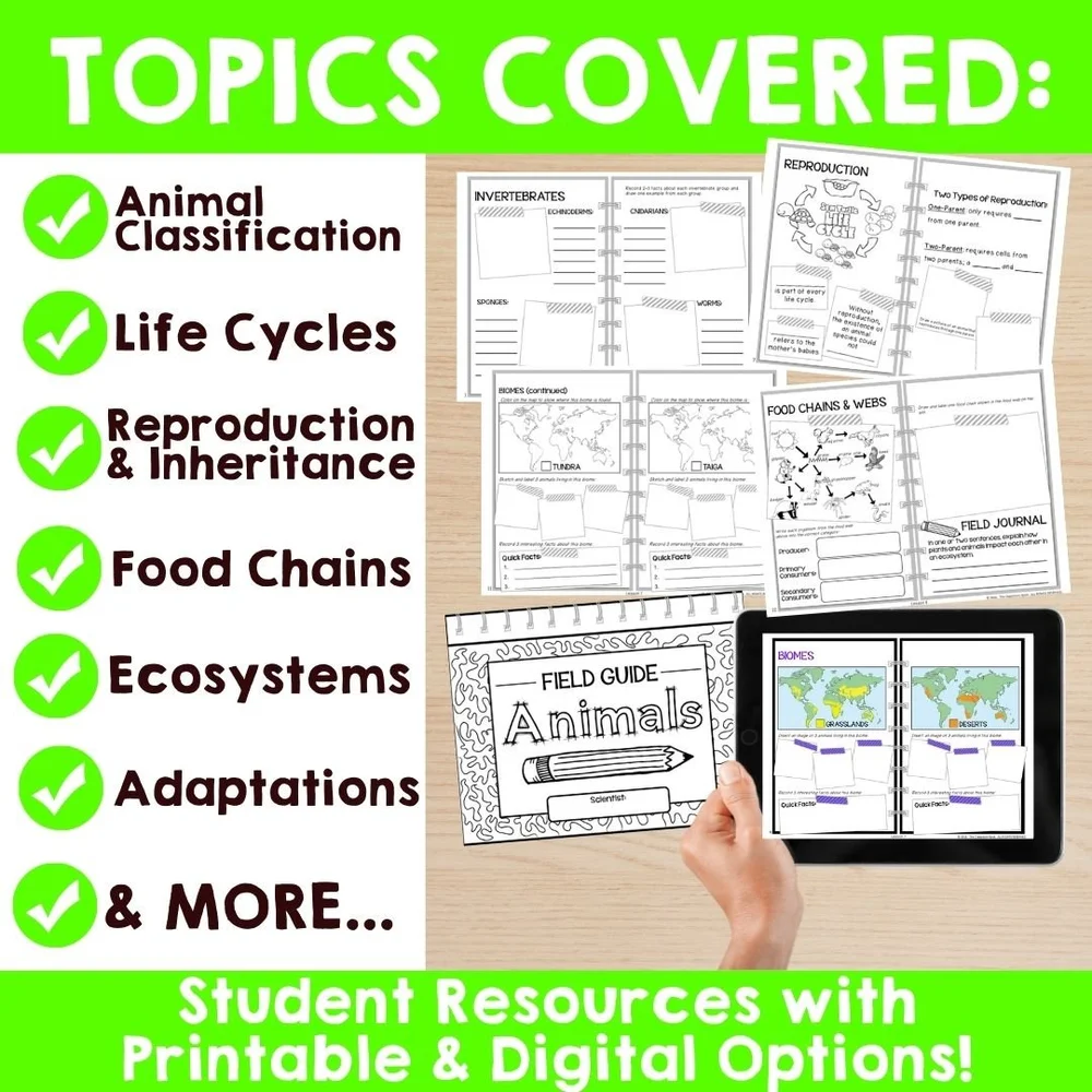 Animal Classification Anchor Chart
