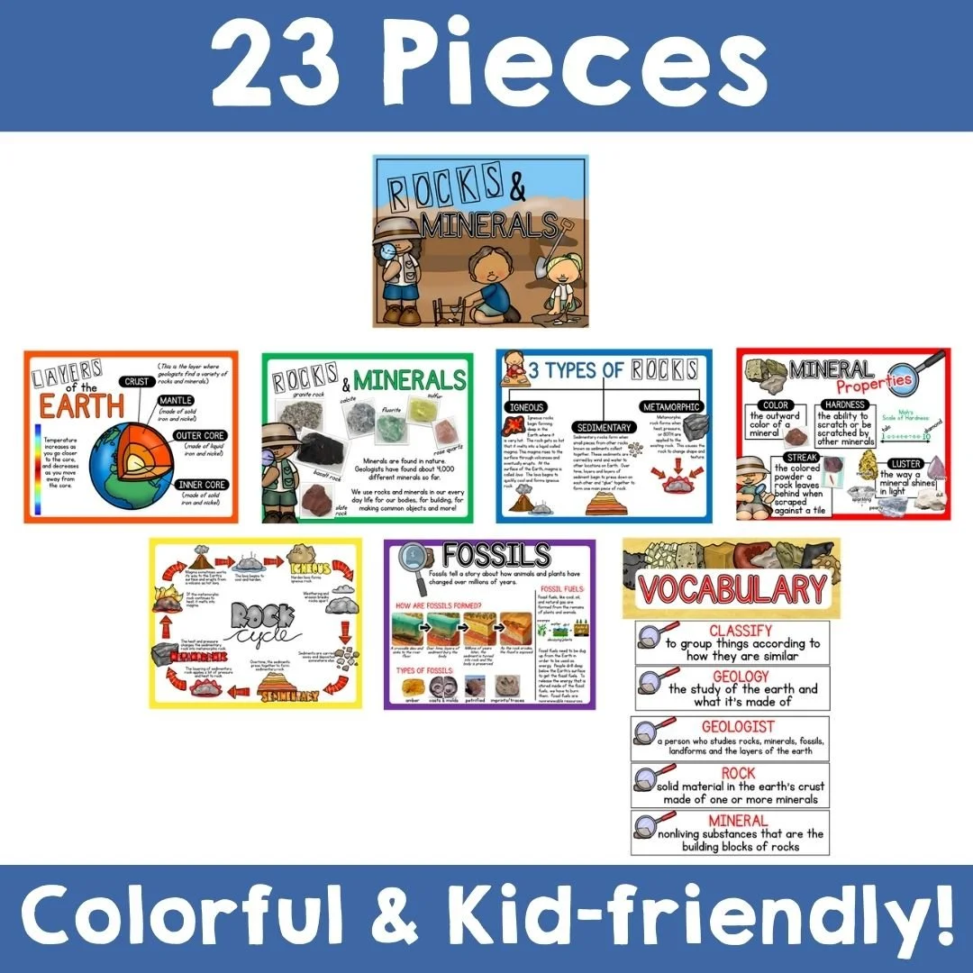 Animals & Ecosystems Bulletin Board: Classification, Life Cycles, Food ...