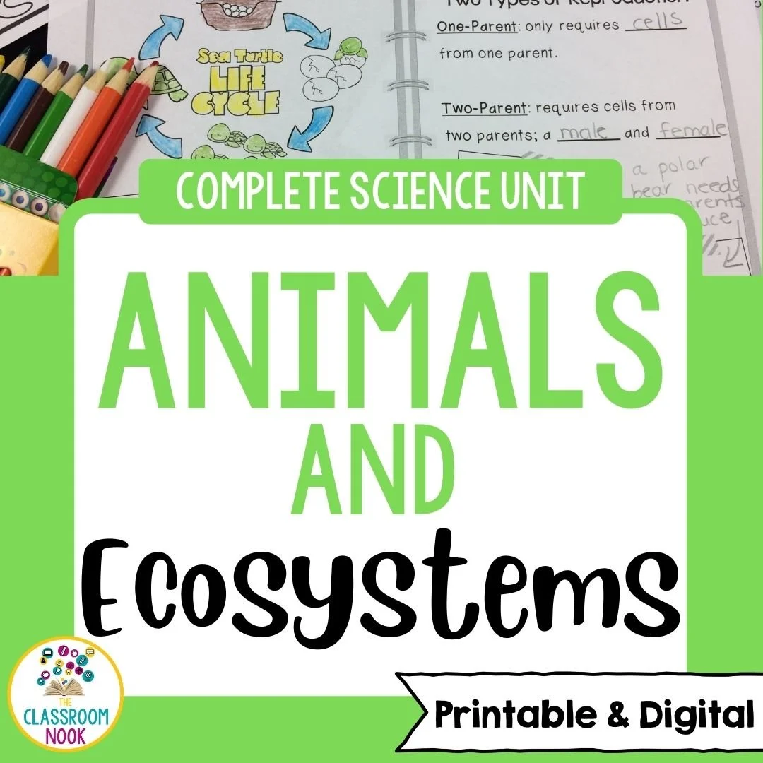 Shop — THE CLASSROOM NOOK