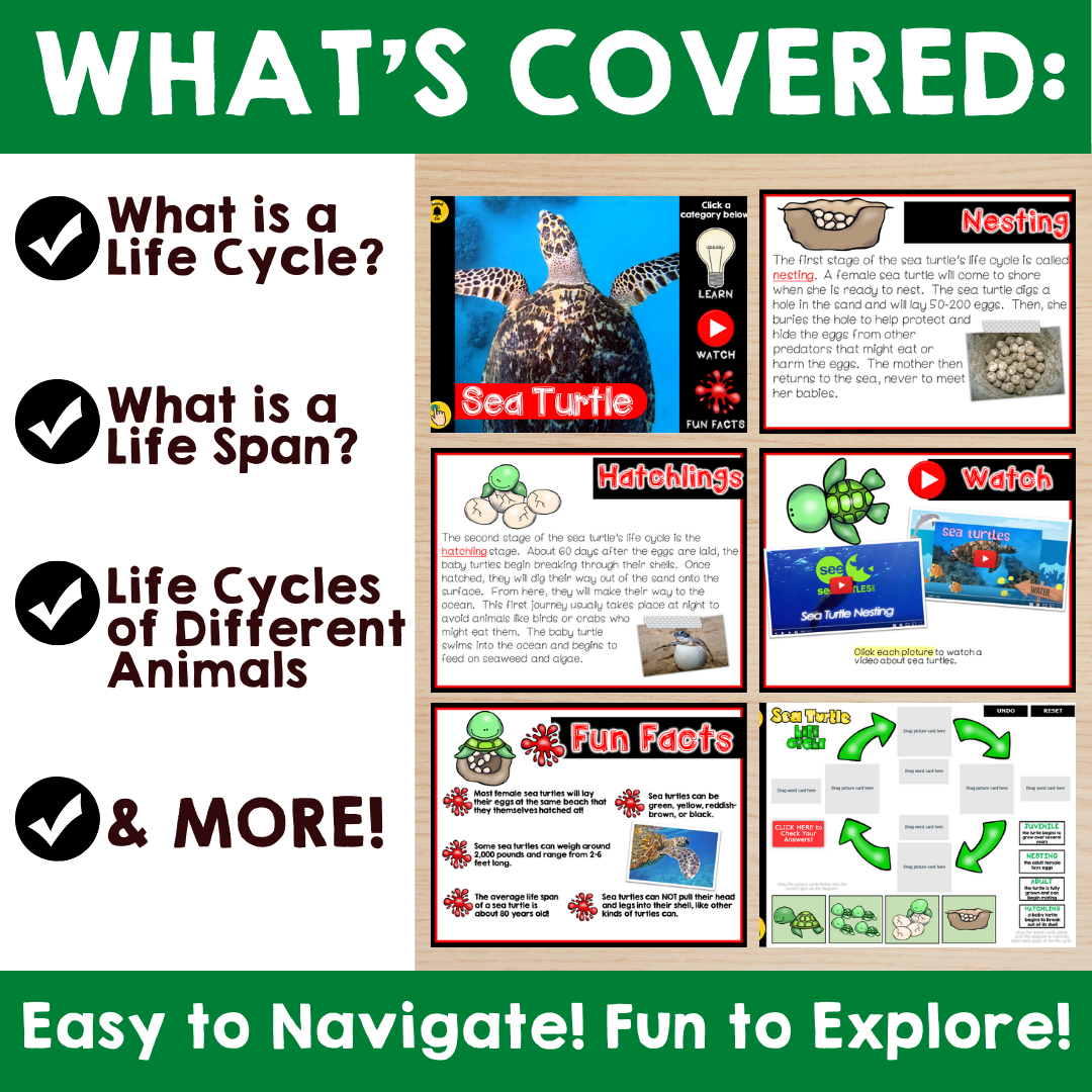 Solar Eclipse 2024 LINKtivity® | Digital Activity, Worksheet, Lesson ...