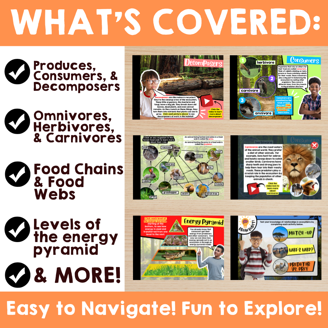 Human Body System LINKtivity® | Nervous, Respiratory, Circulatory ...