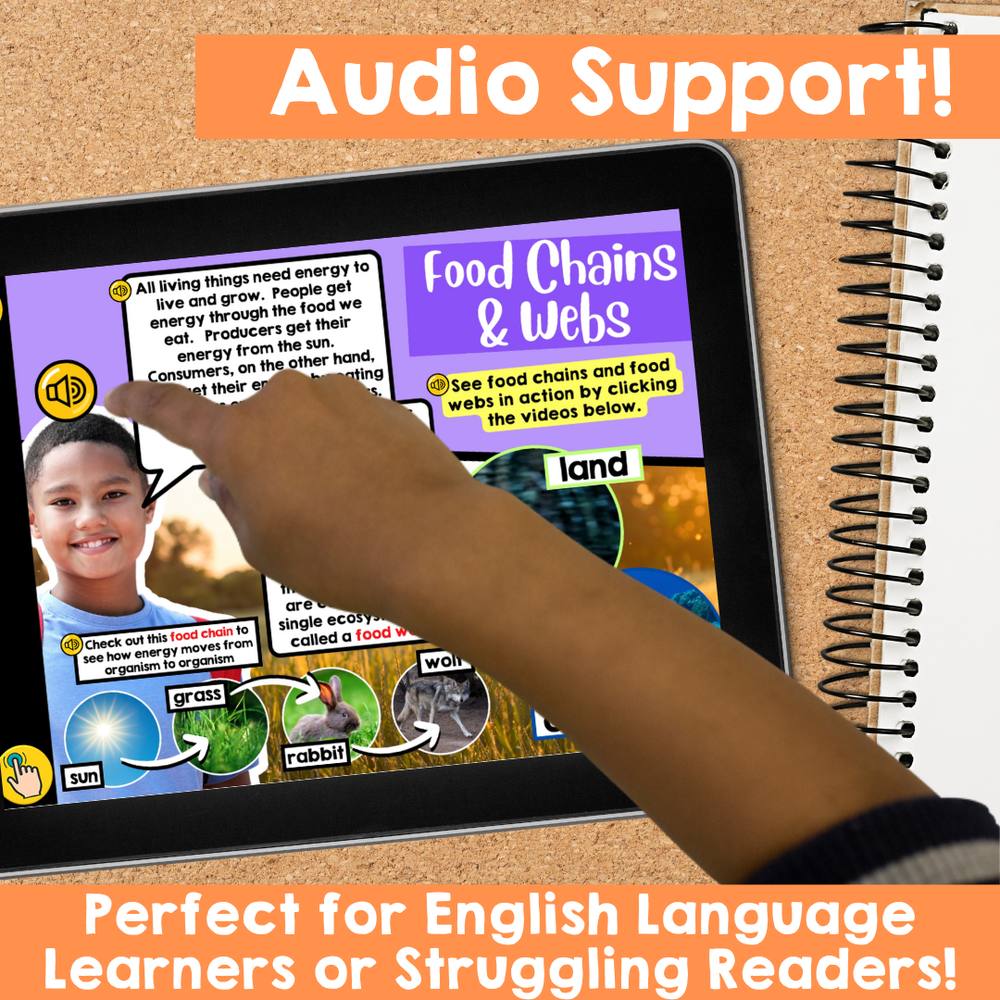 Human Body System LINKtivity® | Nervous, Respiratory, Circulatory ...