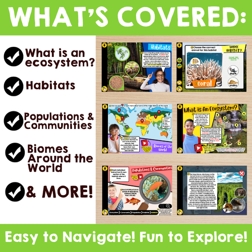 Landforms LINKtivity® (volcanoes, canyons, mountains, plains, valleys ...