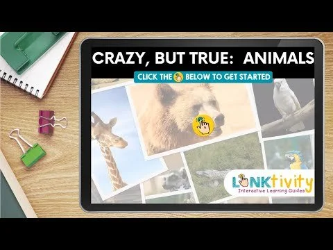 The Summer Learning Slide: 8 Tips for Teachers to Help Avoid It! — THE ...