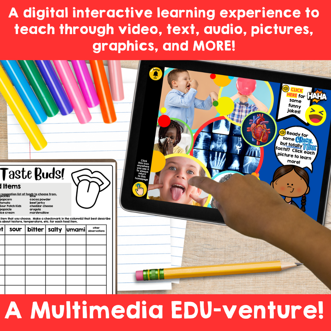 Human Body System LINKtivity® | Nervous, Respiratory, Circulatory ...