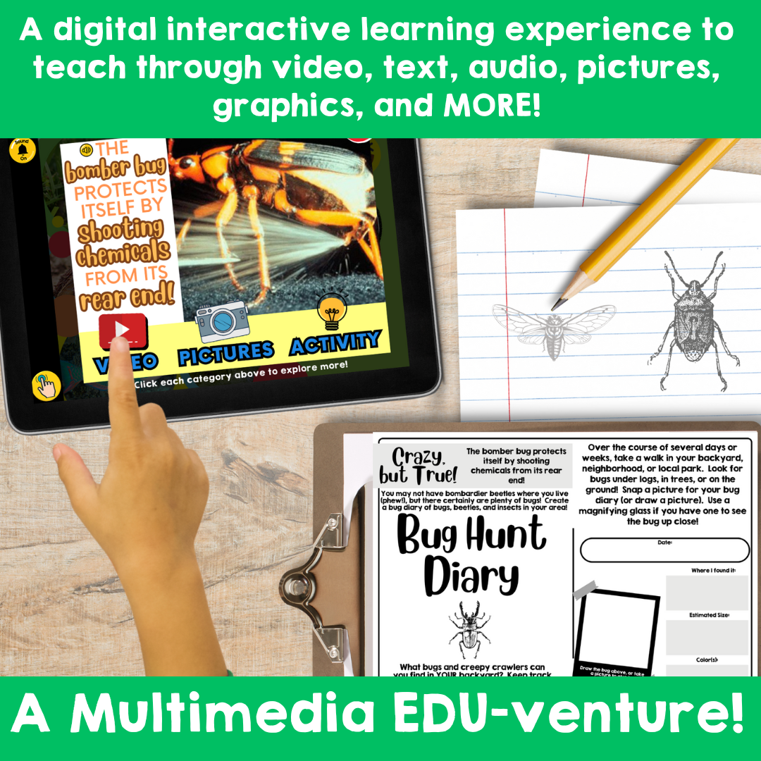 History Mystery: Ghost Ship - The Mary Celeste LINKtivity® (Great For ...