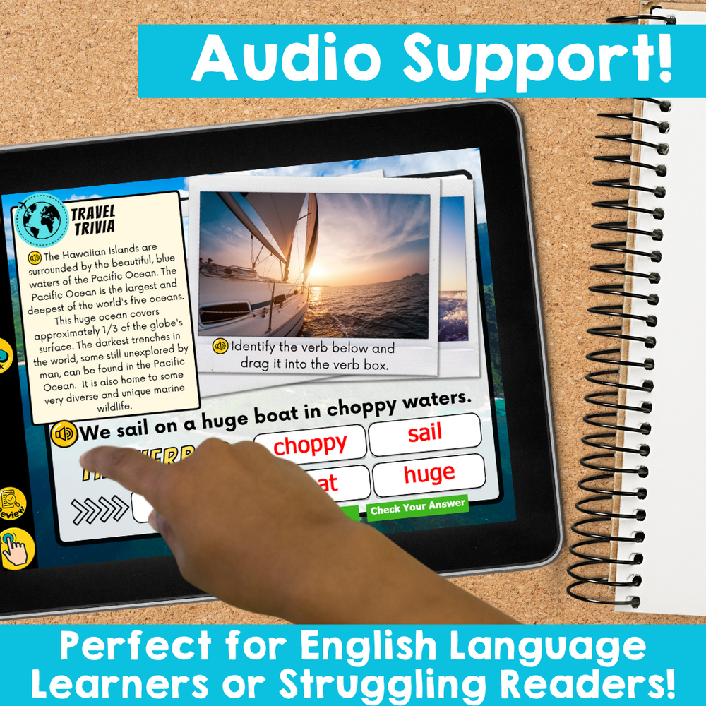 3rd Grade Grammar Activities: PRONOUNS (LINKtivity® + Mini-Unit) — THE ...