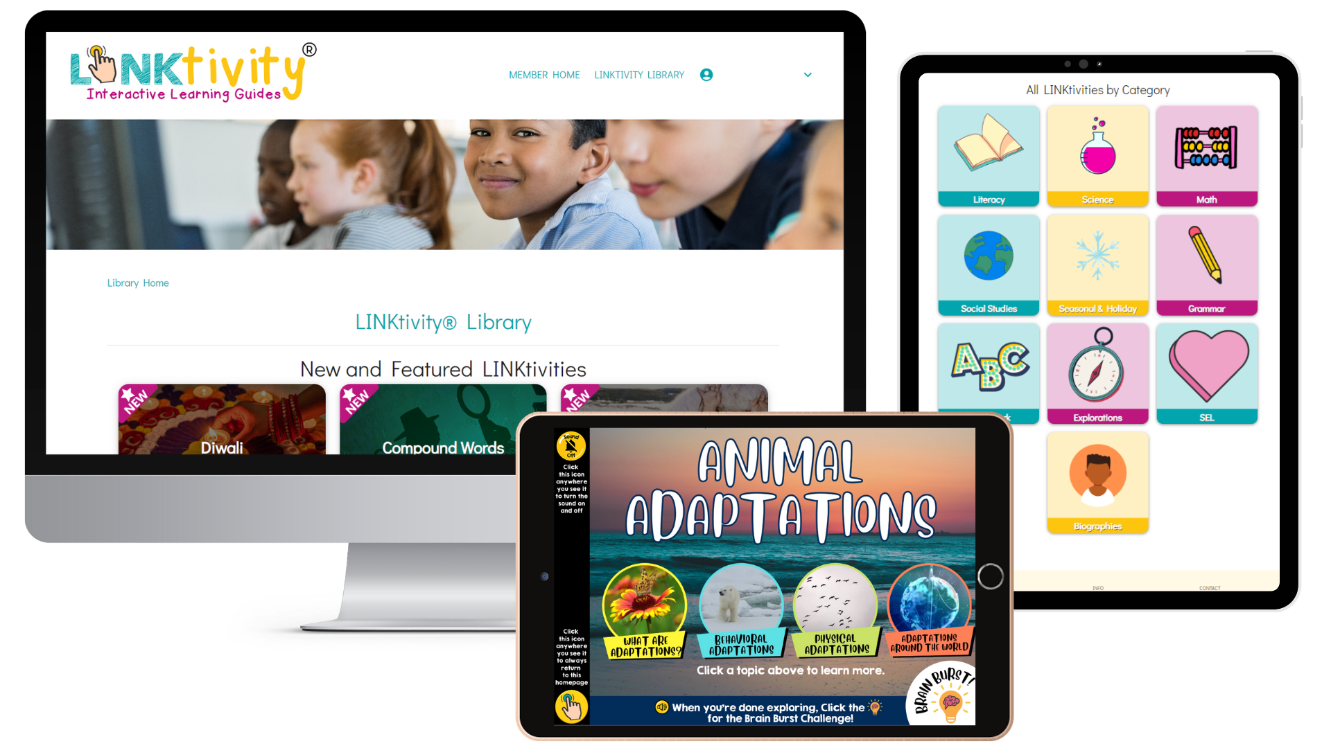 LINKtivity Learning Special Offer — THE CLASSROOM NOOK