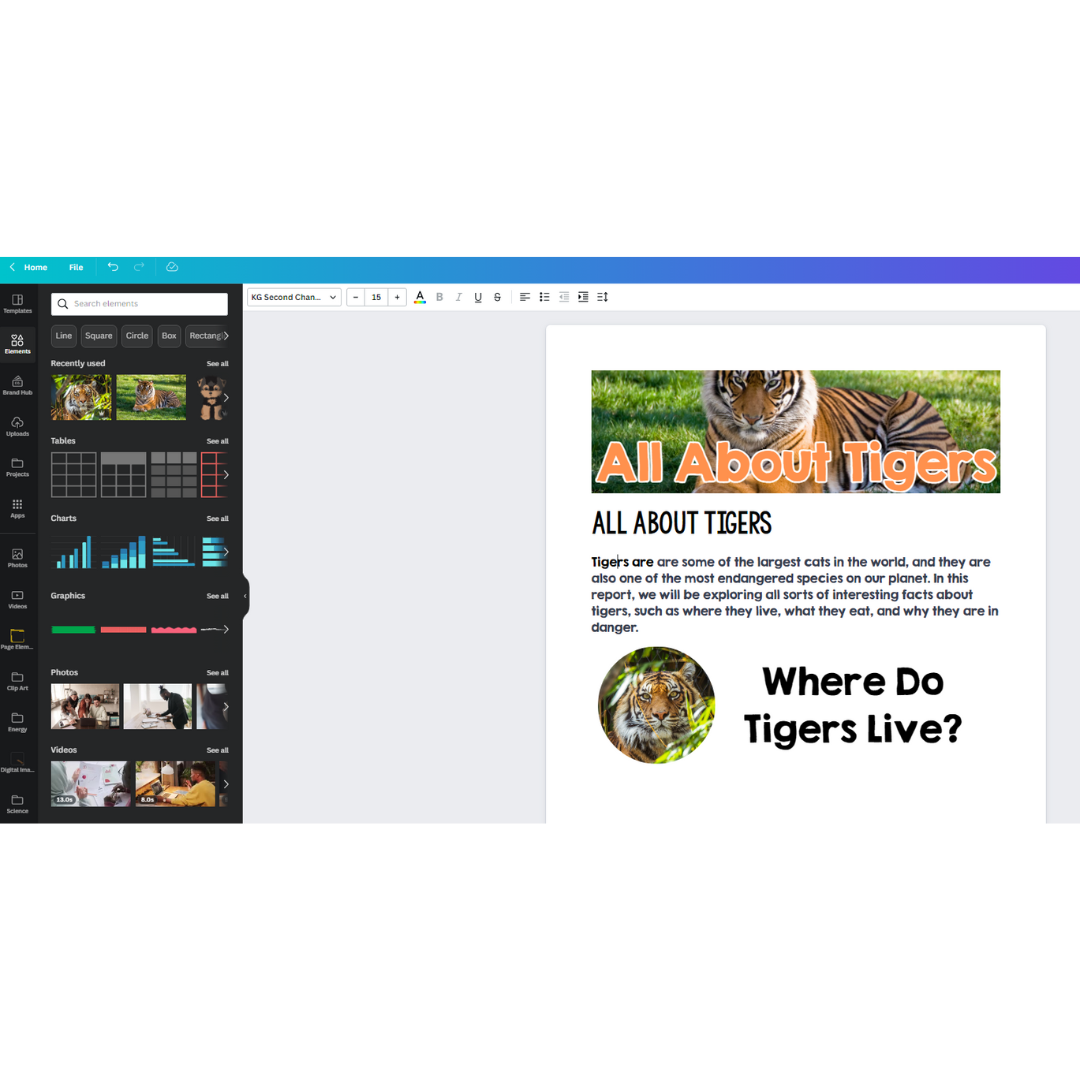 How To Use Multimedia Tools for Classroom Assessments — THE CLASSROOM NOOK