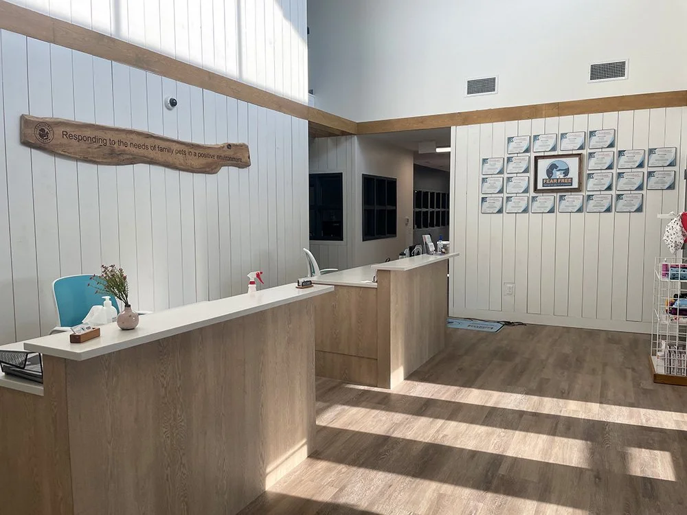 Family Pet Health: A Calm Vet Clinic For Pets And Their People — Dow ...