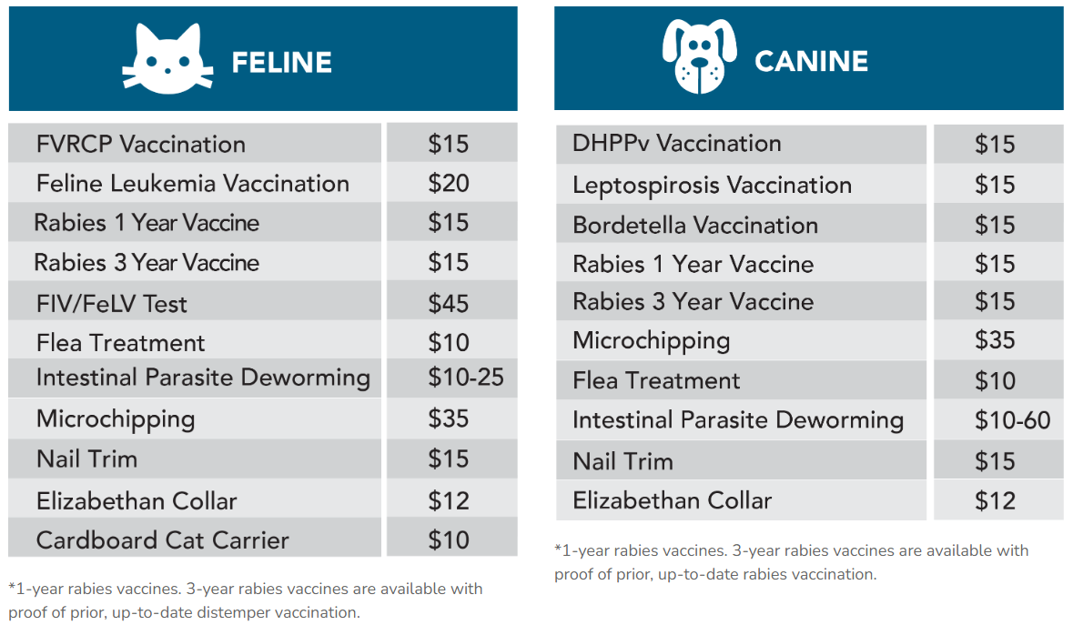 Low Income Spay Neuter Program — Auburn Valley Humane Society