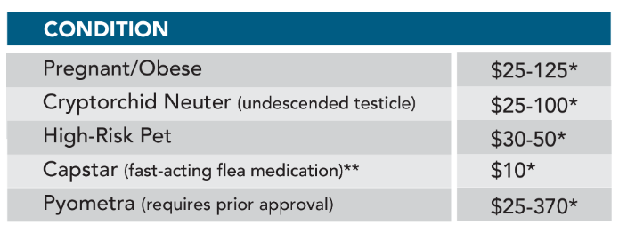 Low Income Spay Neuter Program — Auburn Valley Humane Society