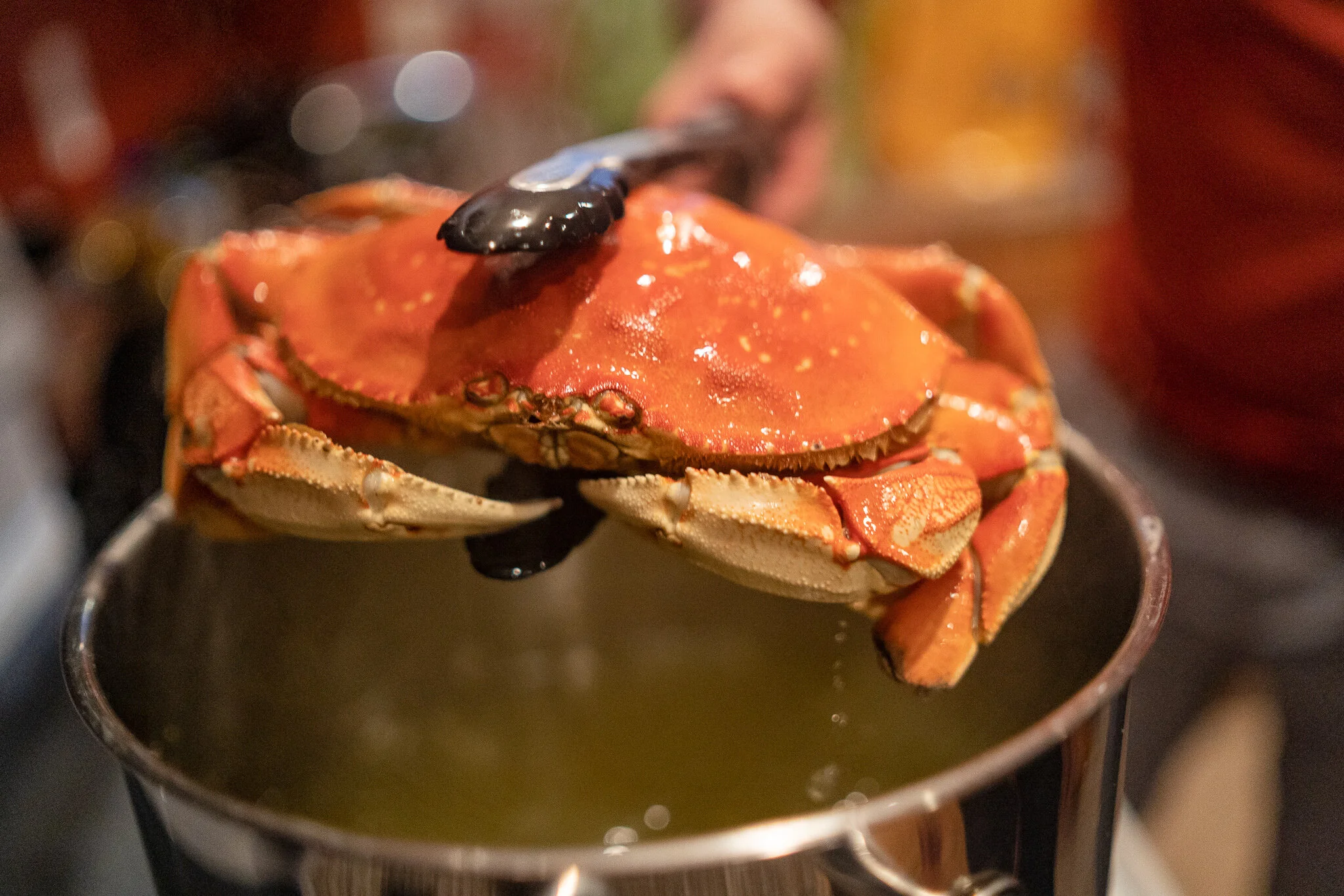 Westport's Fresh Catch — Experience Westport, Washington