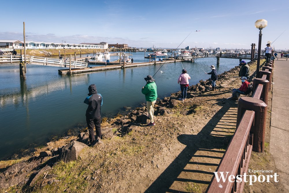 Hooked on Westport: Boat Basin Salmon Fishing — Experience Westport ...