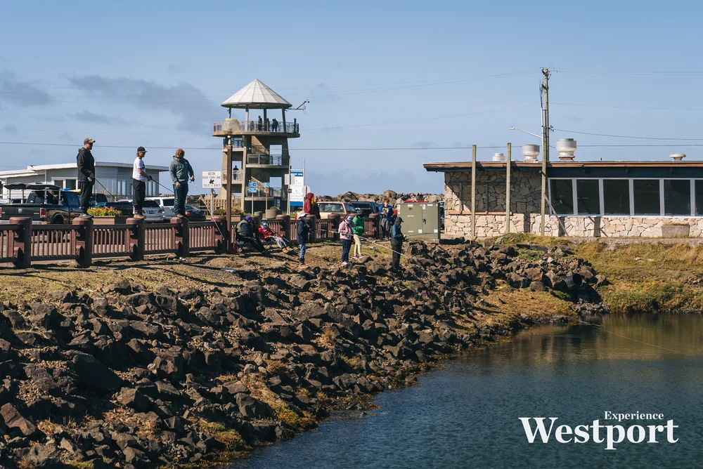 Hooked on Westport: Boat Basin Salmon Fishing — Experience Westport ...