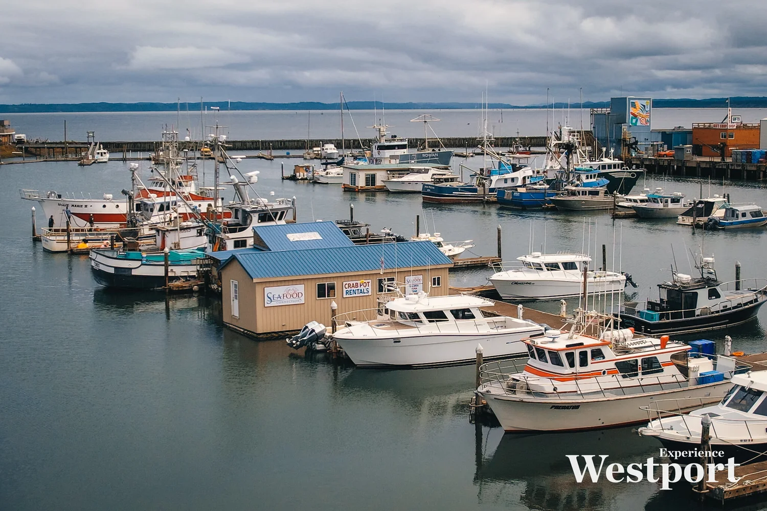 Hooked on Westport: Boat Basin Salmon Fishing — Experience Westport ...