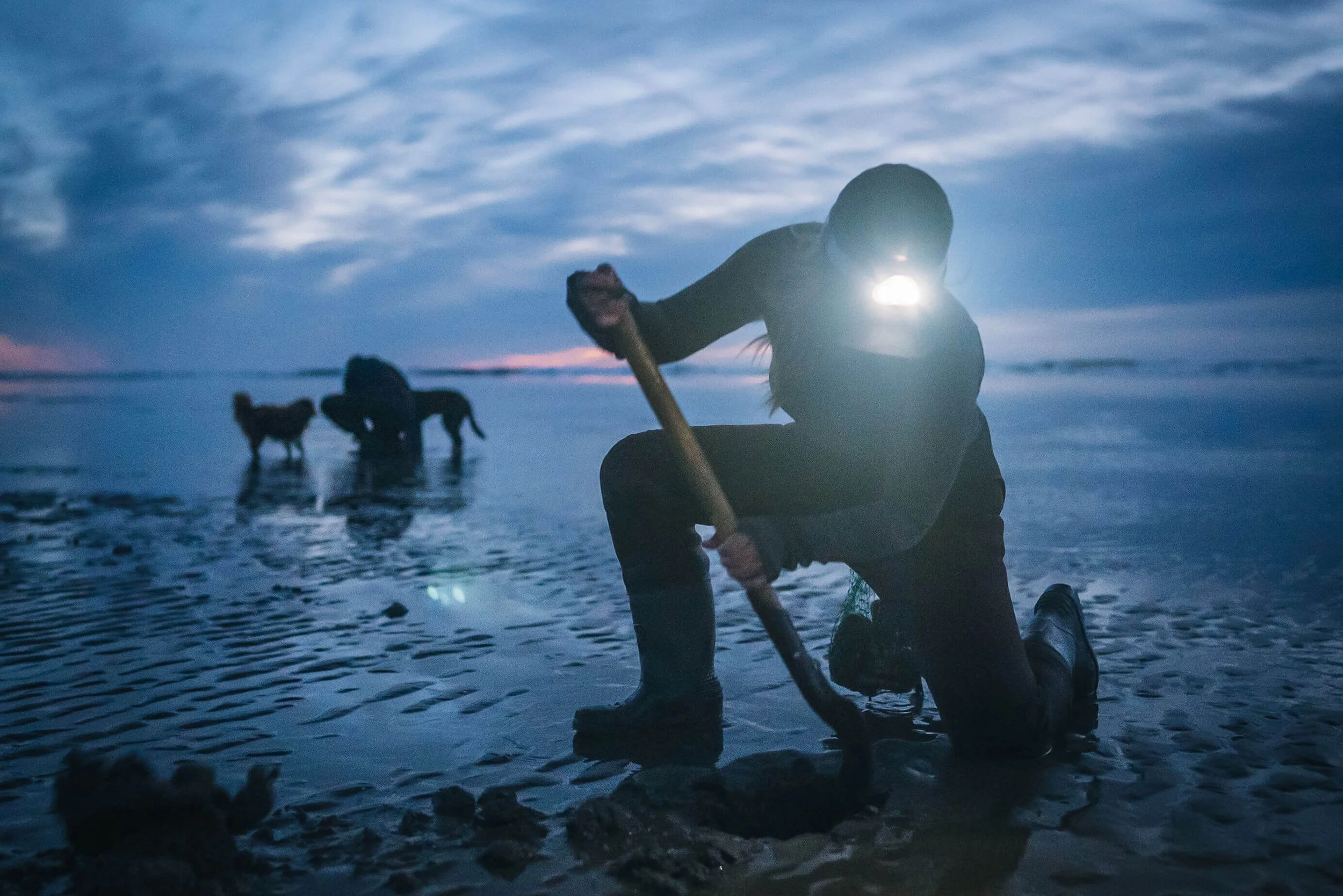 Experience Westport: Razor Clamming on the Washington Coast ...