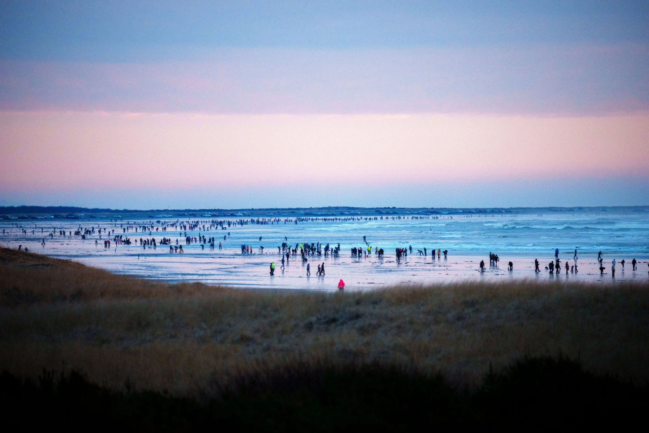 Experience Westport: Razor Clamming on the Washington Coast ...