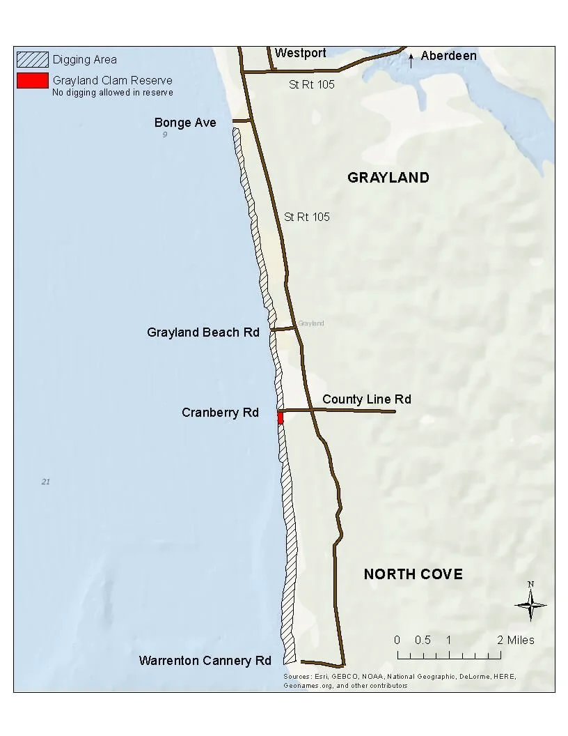 Experience Westport: Razor Clamming on the Washington Coast ...