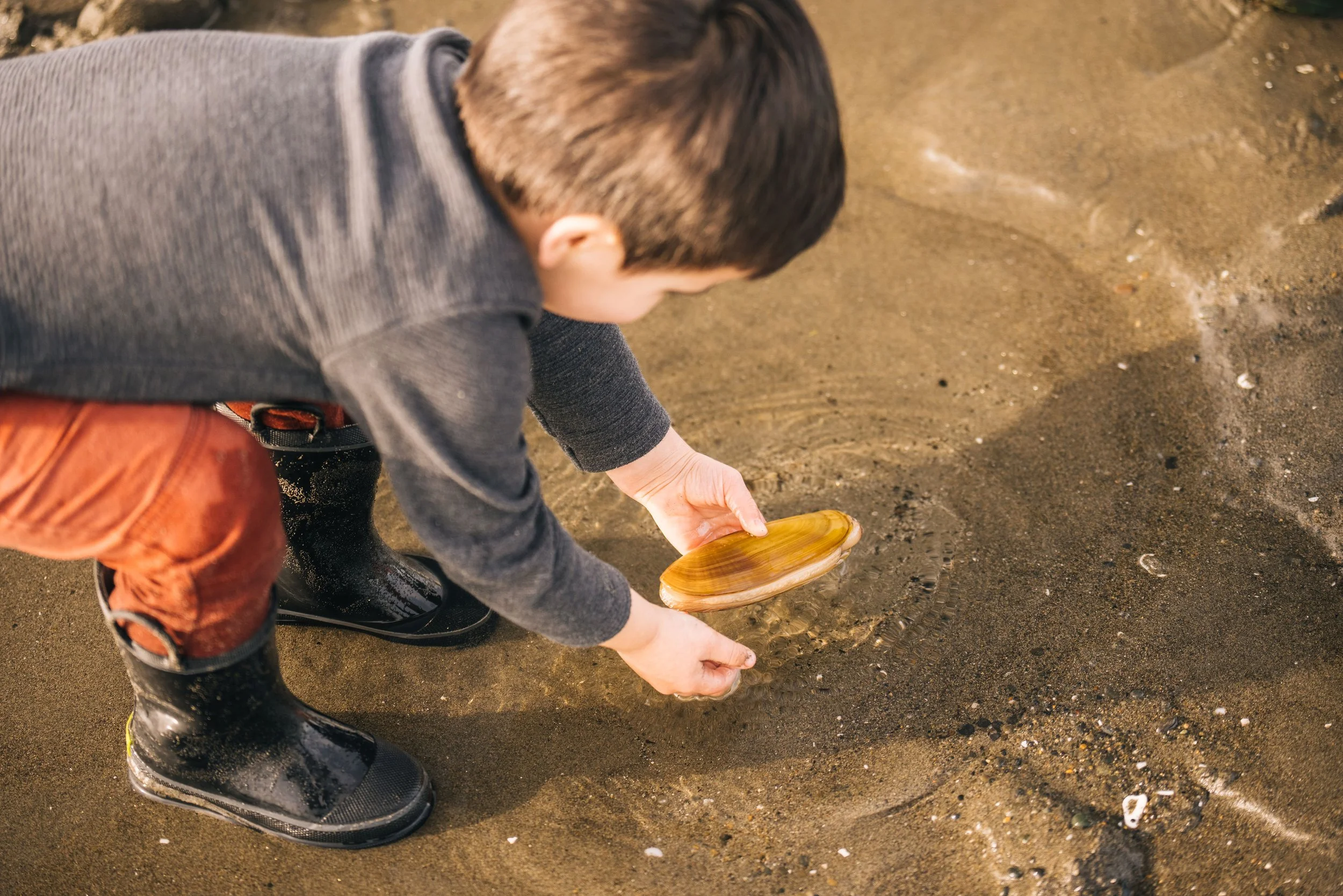 Experience Westport: Razor Clamming on the Washington Coast ...