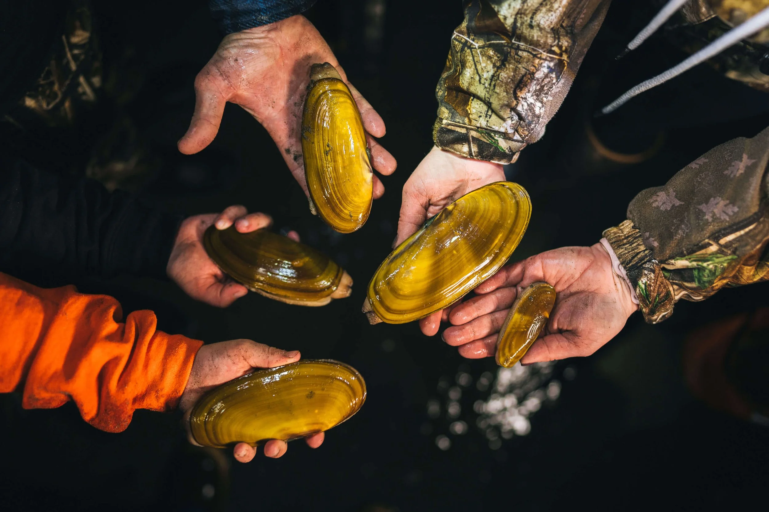 Experience Westport: Razor Clamming on the Washington Coast ...