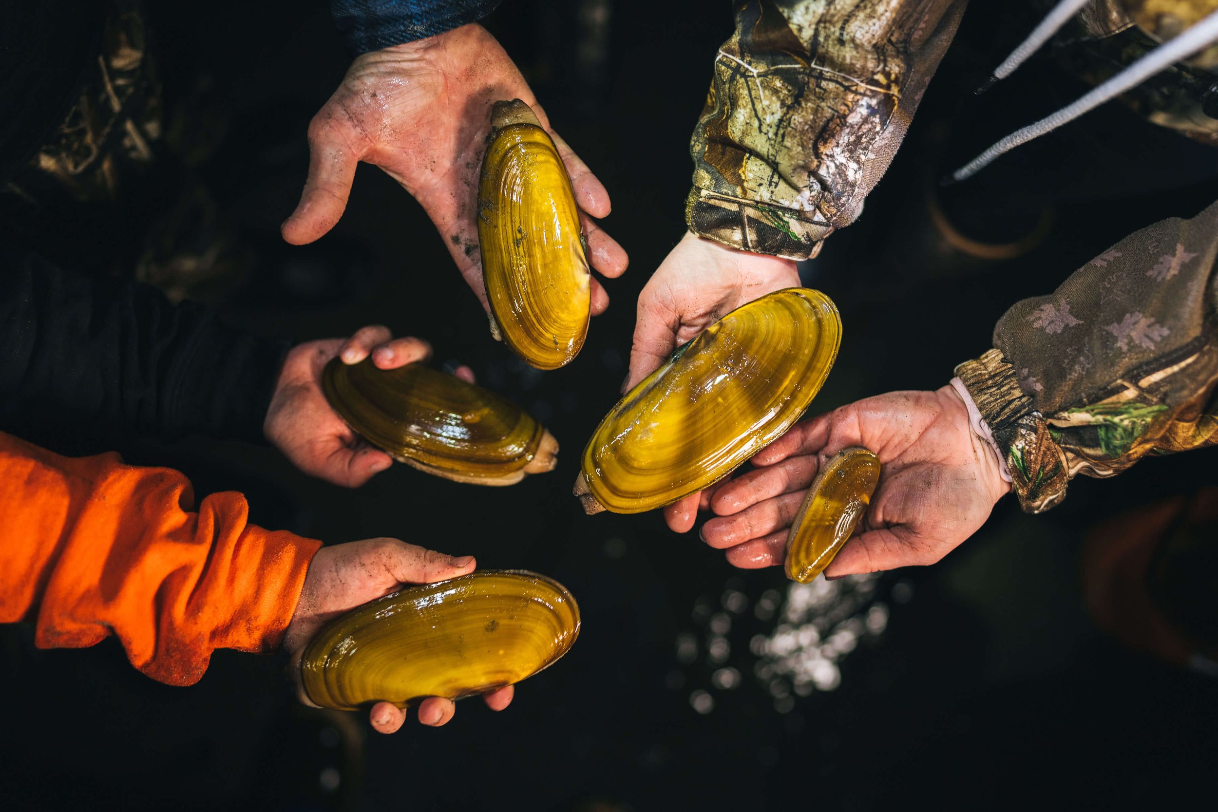 Experience Westport: Razor Clamming on the Washington Coast ...