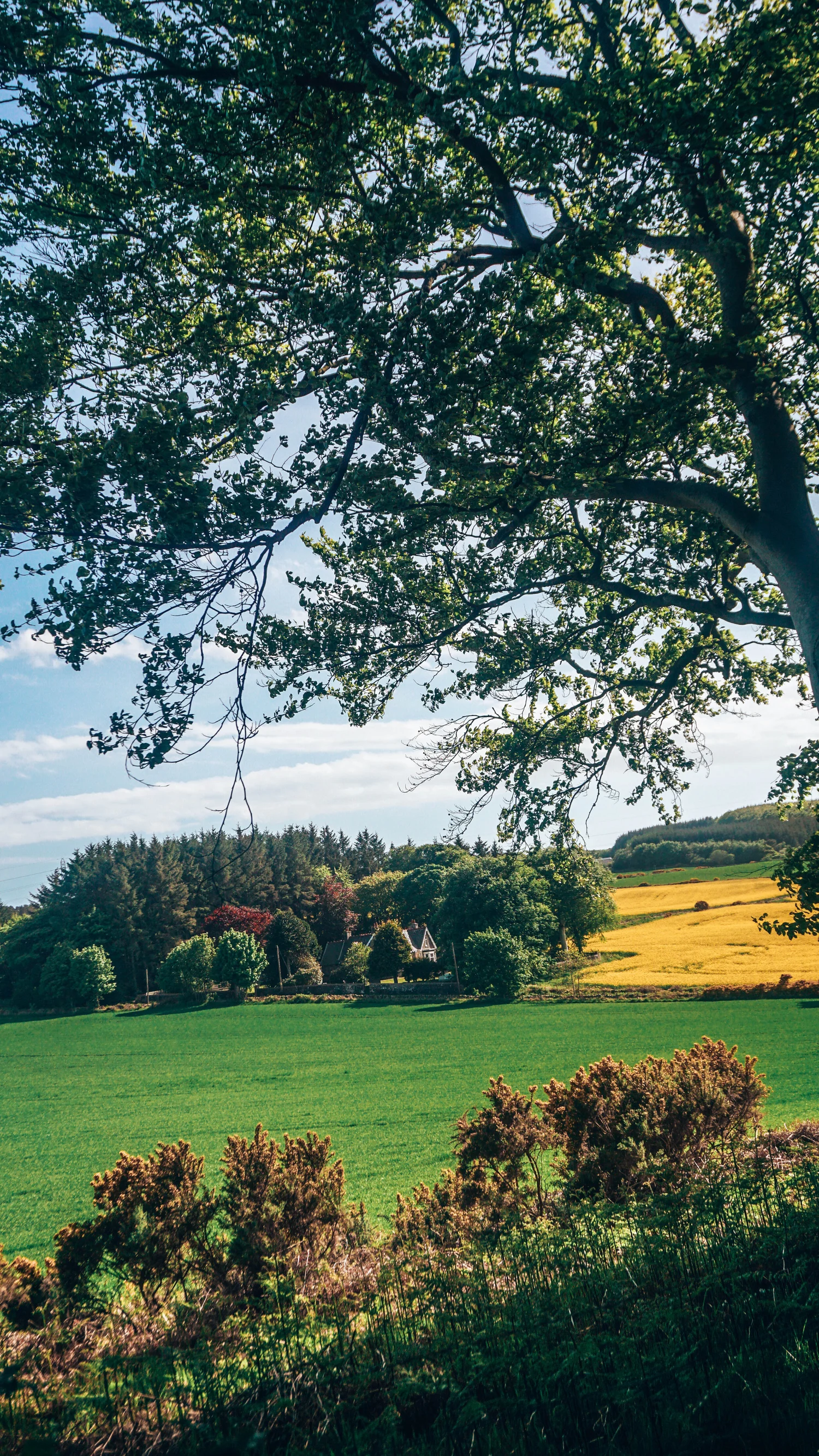 5 walks to take in Aberdeen | Without a car — Solo budget traveller ...