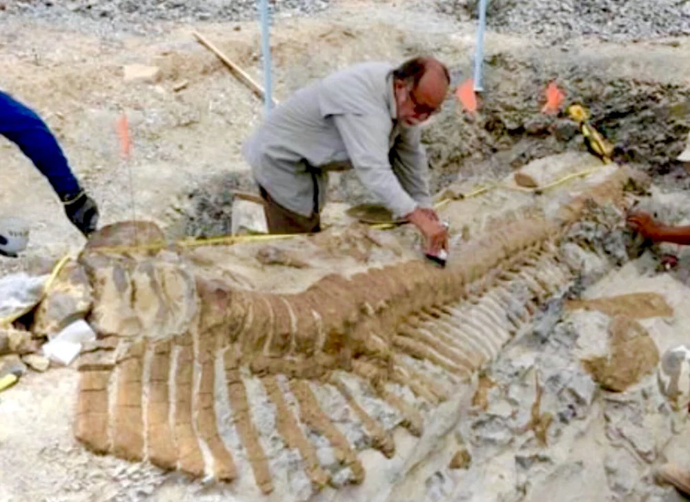 Was there a Worldwide Flood? — Growing Christians Ministries