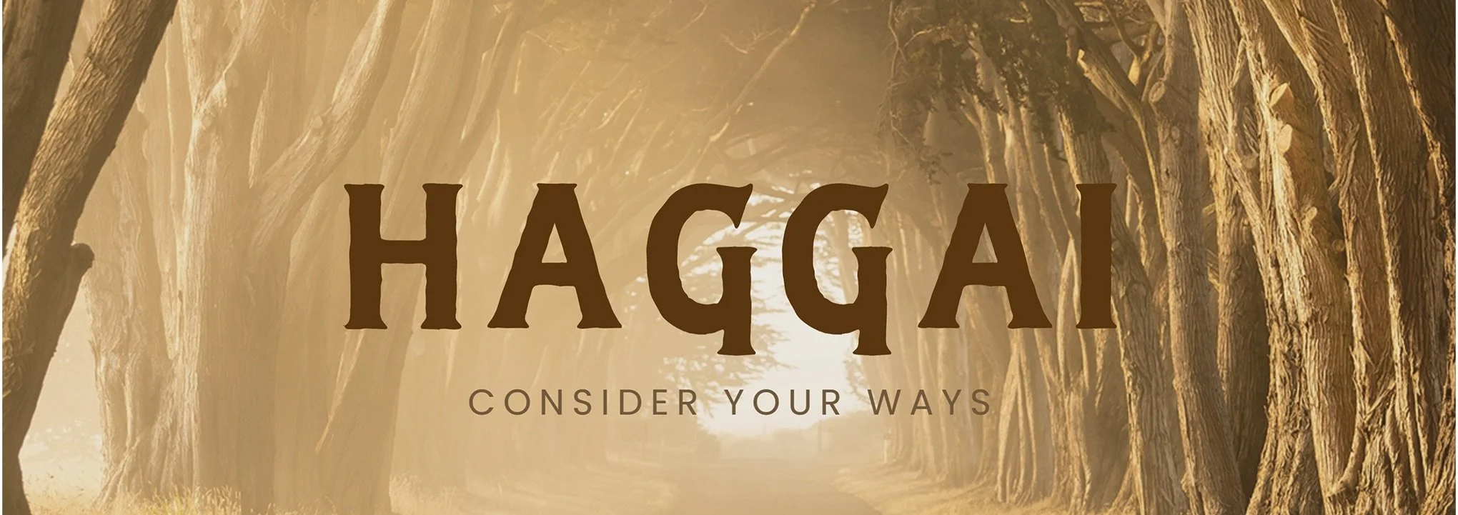 Haggai — Growing Christians Ministries